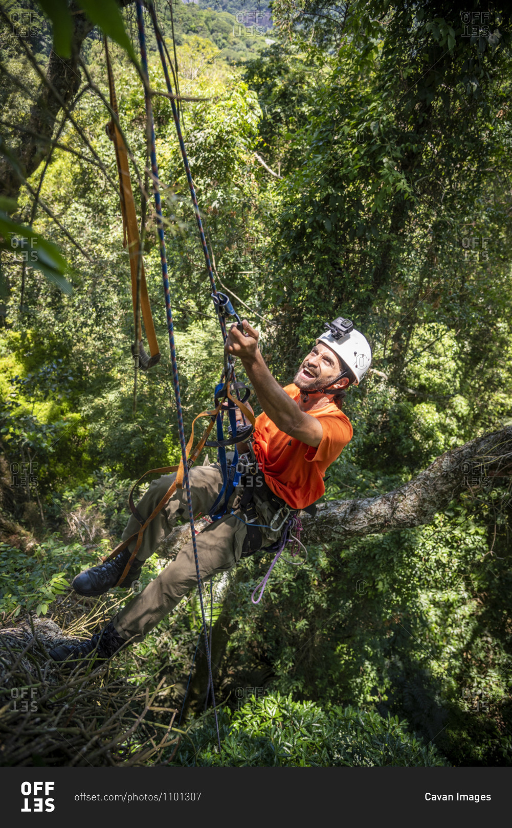 Man tree climbing on canopy top in green rainforest landscape - Stock ...