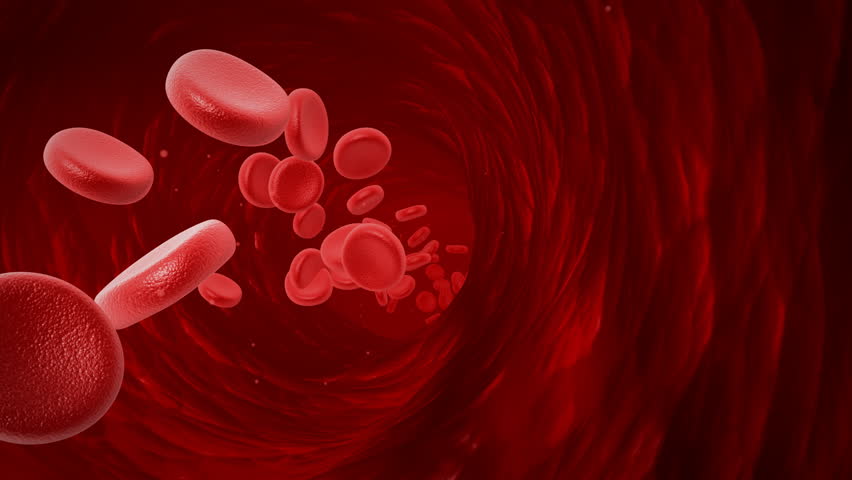 Red Blood Cells Traveling in Stock Footage Video (100% Royalty-free ...