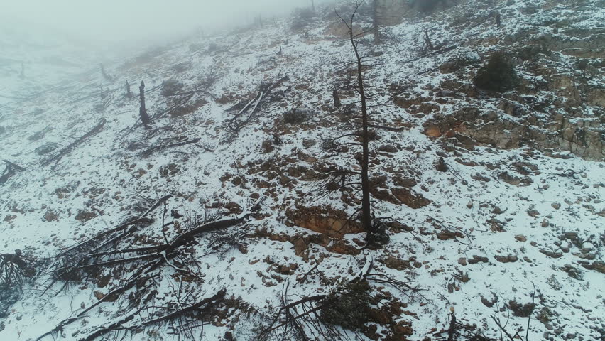 aerial barren landburned out mountain forest Stock Footage Video (100% ...