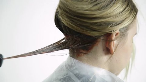 Stylist Apply Hair Coloring On Woman Stock Footage Video (100% Royalty ...