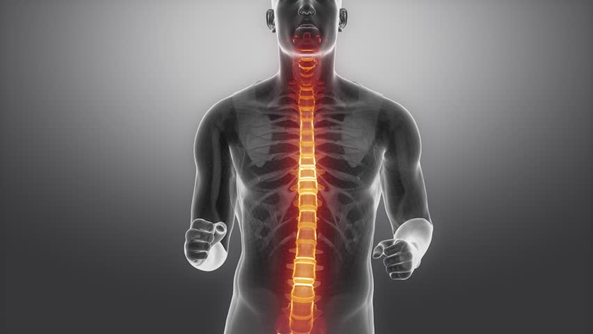 Running Man Spine Scan in Stock Footage Video (100% Royalty-free ...
