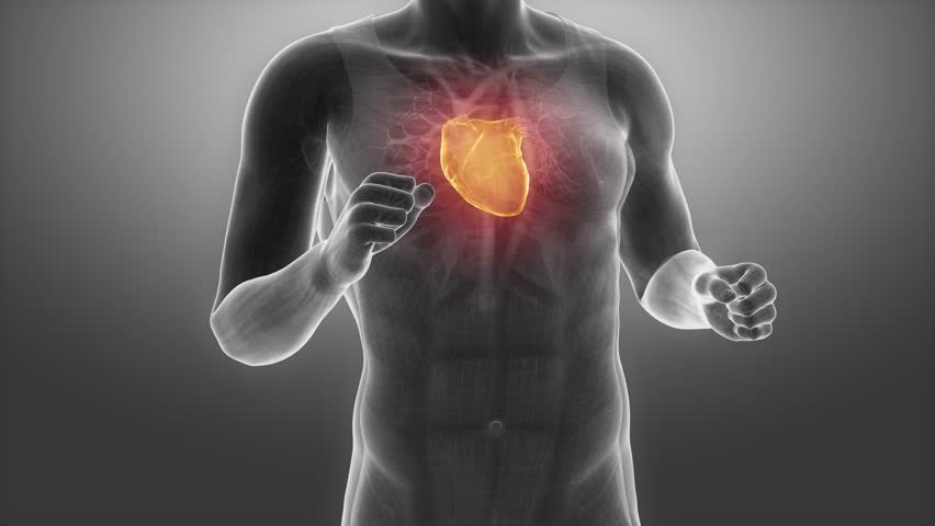 running man beating heart loop 库存影片视频（100% 免版税）10069448 | Shutterstock