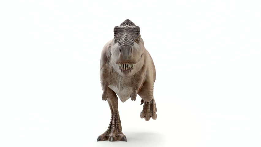 Tyrannosaurus Rex in Motion of 스톡 동영상 비디오(100% 로열티 프리) 1007179972 ...