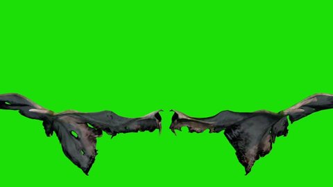 Demon Devil Wings Green Screen Front Stock Footage Video (100% Royalty ...