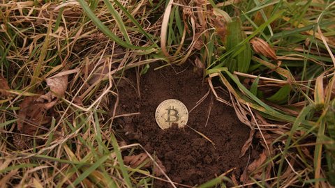 Watercolor Hand Drawn Stump Clipart Isolated: стоковая иллюстрация ...