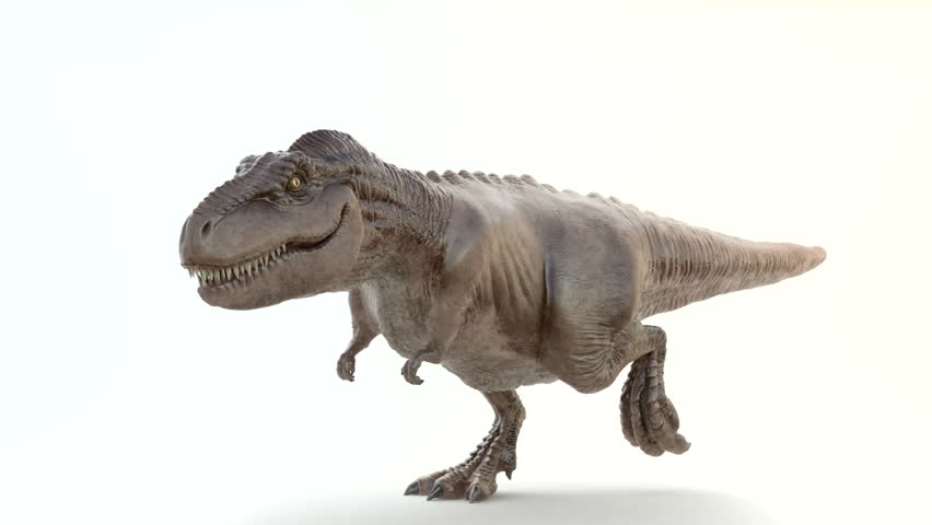 Tyrannosaurus Rex Motion Run Stock Footage Video (100% Royalty-free ...