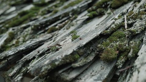 Old Partly Destroyed Roof Covered Moss Stock Footage Video (100% ...