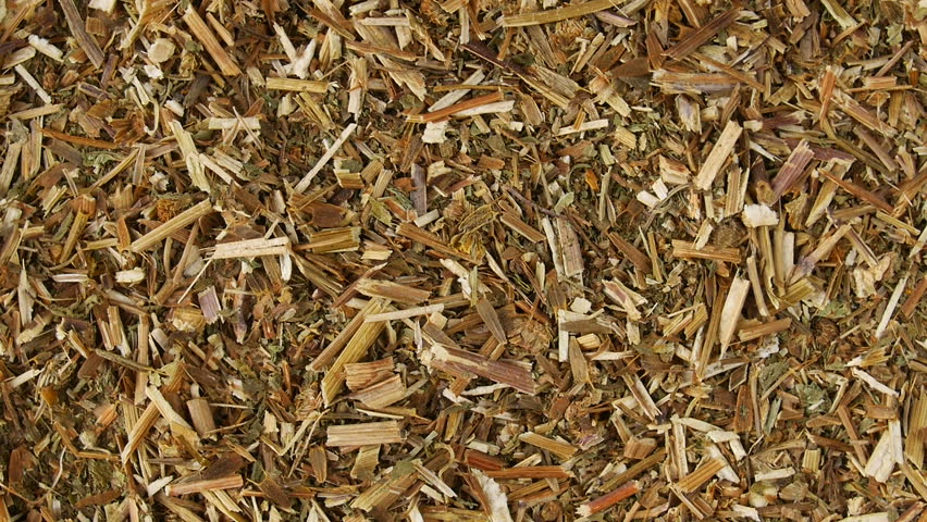 898 Bur background Stock Video Footage - 4K and HD Video Clips ...