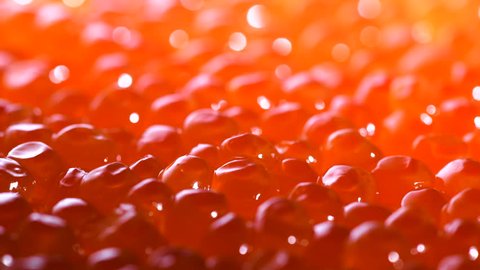 971 Caviar texture Stock Video Footage - 4K and HD Video Clips ...