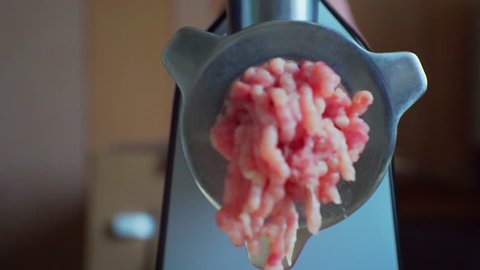 Human Internal Organs Action Loop Ready Stock Footage Video (100% ...