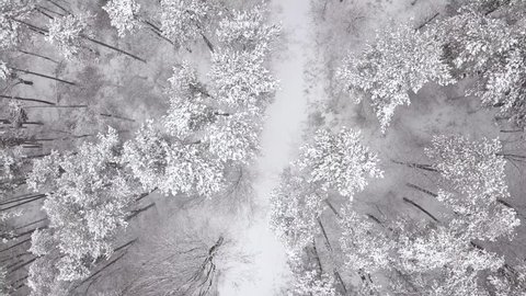 falling snow winter Stock Footage Video (100% Royalty-free) 628810 ...
