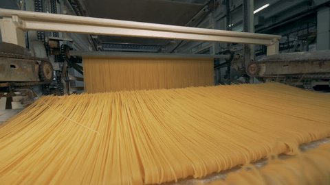 Industrial Equipment Spaghetti Manufacturing Pasta Factory Stock ...