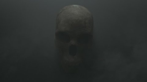 Skull Fog Stock Footage Video (100% Royalty-free) 1007490817 | Shutterstock