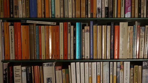 Vintage Books On Bookshelf Isolated On Stock Illustration 640110259 ...