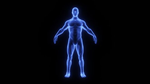 transparent male female body medical animation Stock Footage Video (100 ...