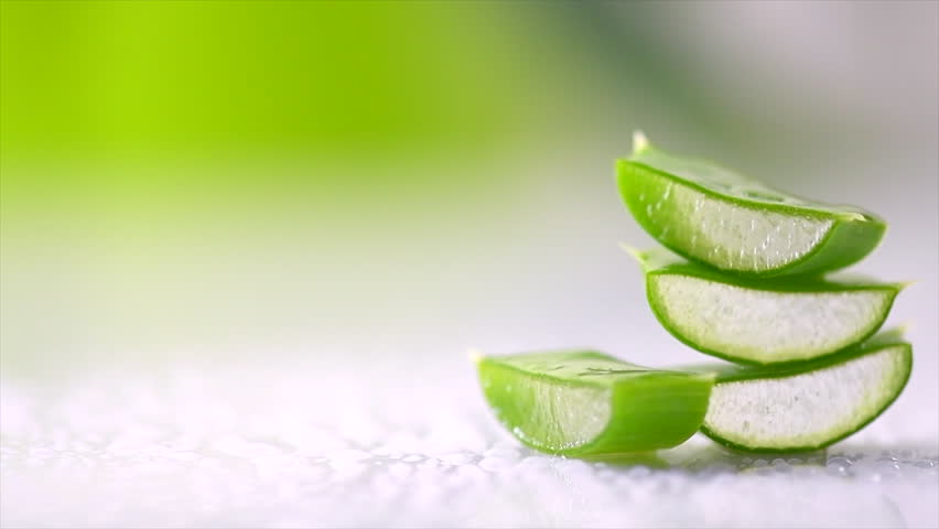 Aloe Vera Closeup Aloevera Gel Natural Stock Footage Video (100% ...