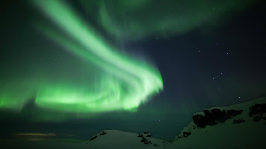 Snake Star: videos de stock; videoclips en 4K y HD | Shutterstock