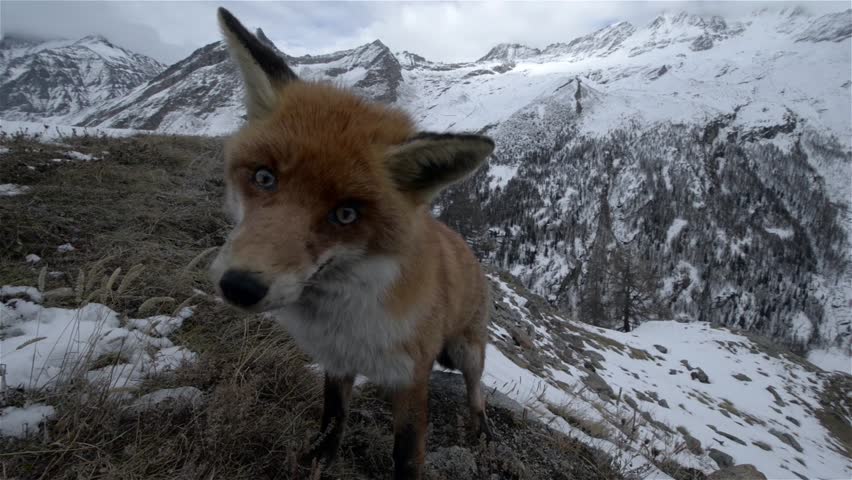 Extreme Wide Angle Shot of Stock Footage Video (100% Royalty-free ...