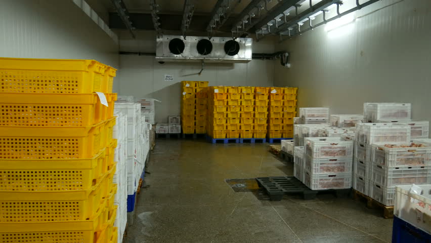 Slaughterhouse Refrigeration Stock Video Footage - 4K and HD Video ...