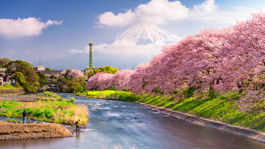 Mt. Fuji, Japan Spring Landscape Stock Footage Video (100% Royalty-free ...