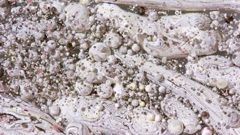 swarming worms ground Stock Footage Video (100% Royalty-free ...