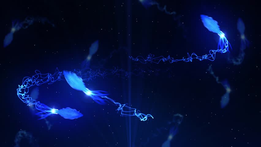 squid illuminated color light underwater cg Stock Footage Video (100% ...