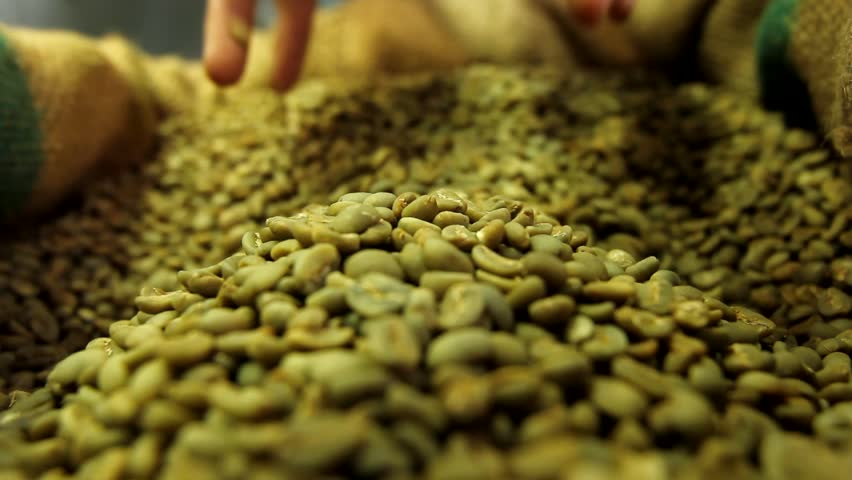 Production of Fresh Fried Coffee Stock Footage Video (100% Royalty-free ...