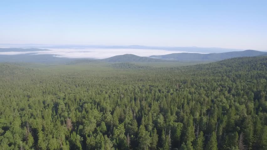 long distance nature mountain green tree Stock Footage Video (100% ...