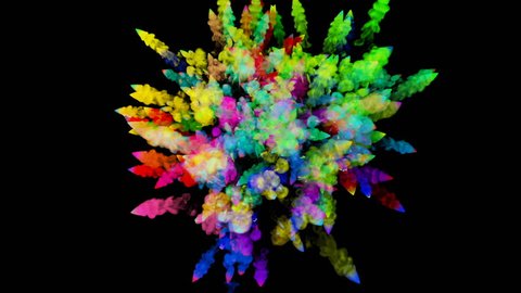 Firework Paint Explosion Colorful Powder Isolated Stock Footage Video ...