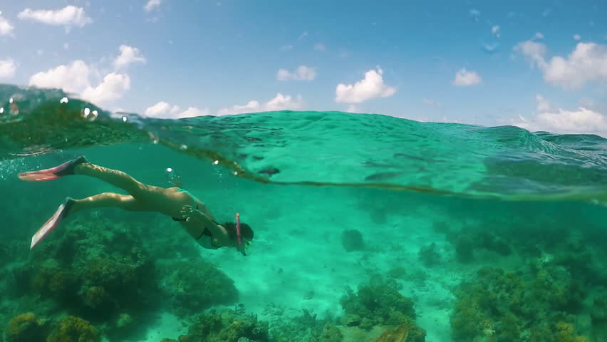 girl-scuba-diving-in-the-ocean image - Free stock photo - Public Domain ...