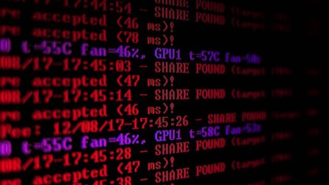 Ladies Night Neon Lettering On Brick Stock Vector (Royalty Free ...