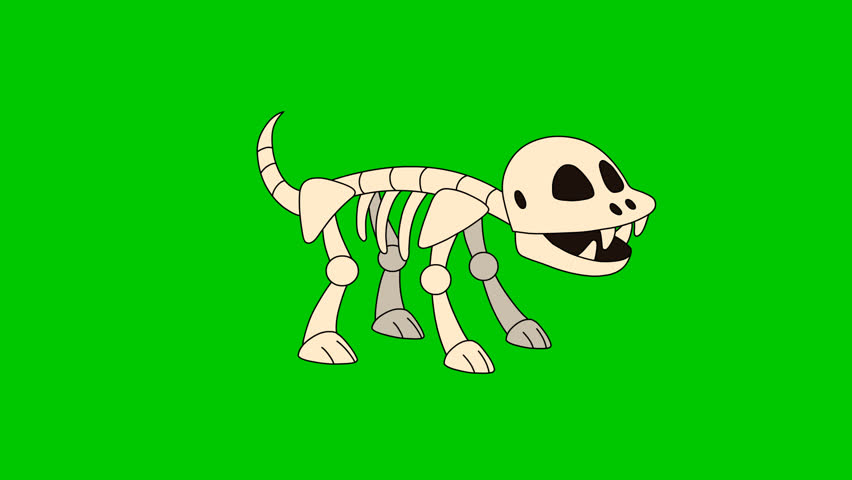 Skeleton Dog Looping Hand Drawn Animation: วิดีโอสต็อก (ปลอดค่า ...