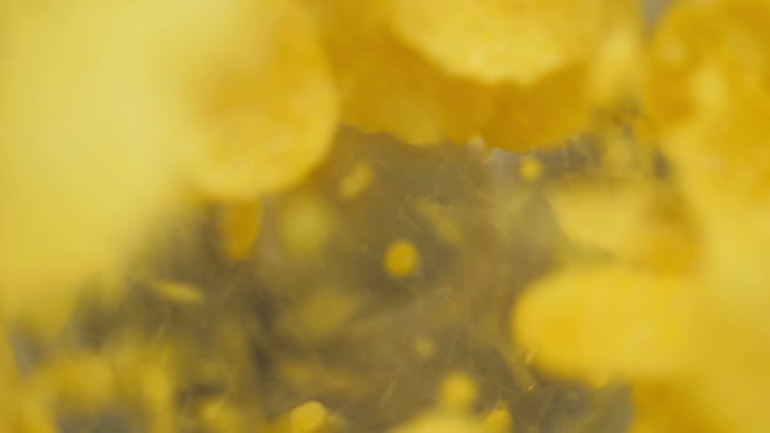 corn flakes after being exploded blender Stock Footage Video (100% ...