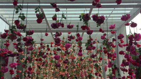 217 Flowers hanging ceiling Stock Video Footage - 4K and HD Video Clips ...