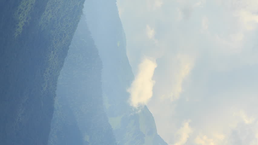 two big fish chicago botanic garden's Stock Footage Video (100% Royalty ...