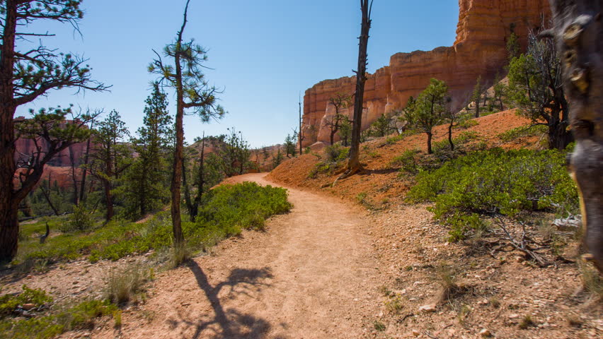 Fir Forests landscape in Bryce Canyon National Park, Utah image - Free ...