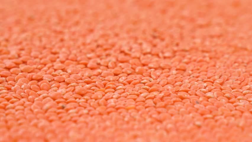 105 Linse Stock Video Footage - 4K and HD Video Clips | Shutterstock