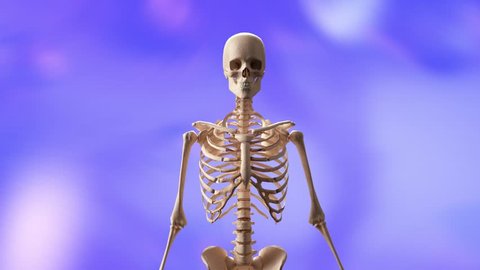 Rotating Skeleton Render 3d Stock Footage Video (100% Royalty-free ...