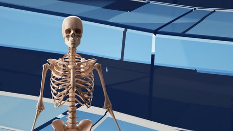 Rotating Skeleton Render 3d Stock Footage Video (100% Royalty-free ...