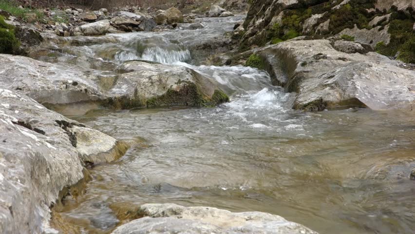 pure fresh water forest mountain stream Stock Footage Video (100% ...