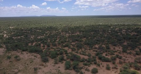 beautiful aerial view qatar mangrove forest Stock Footage Video (100% ...
