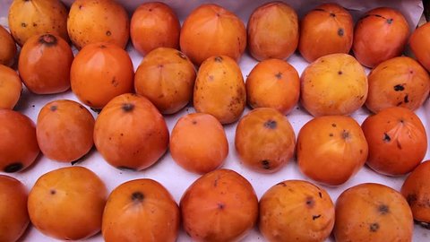 Mushmula Fruit Exotic Evergreen Tree Stock Photo (Edit Now) 244890730