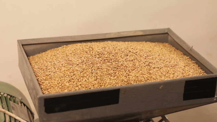 Grinding of Malt for Producing 스톡 동영상 비디오(100% 로열티 프리) 1009064669 ...