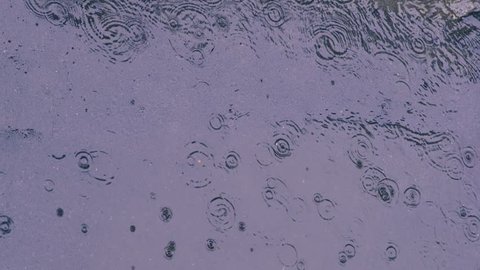 Top View Rain Falling On Street Stock Footage Video (100% Royalty-free ...
