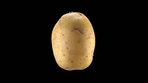 Potato Spinning Rotating Isolated On White Stock Footage Video (100% ...