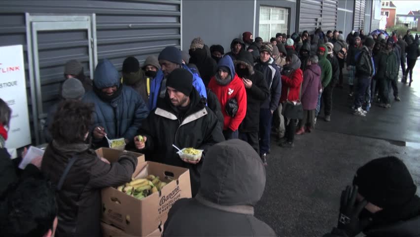 Frozen Jungle Stock Video Footage - 4K and HD Video Clips | Shutterstock