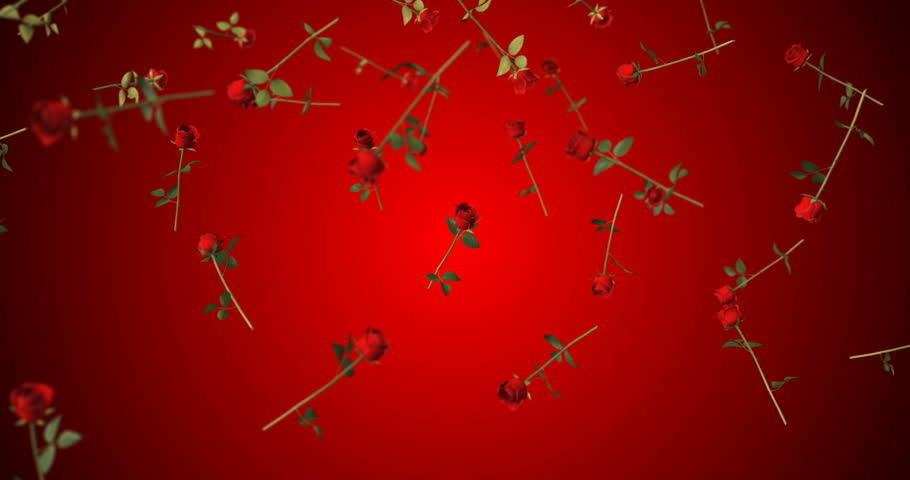 Red Rose Falling Stock Footage Video (100% Royalty-free) 1009633646 ...