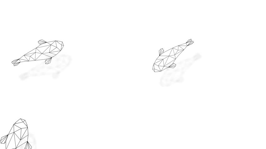Low Poly Fish Stock Video Footage - 4K and HD Video Clips | Shutterstock