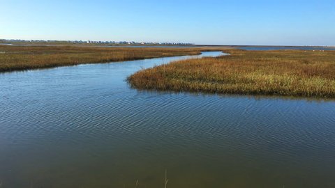 Saltgrass Tidal Marsh High Tide Galveston Stock Footage Video (100% ...