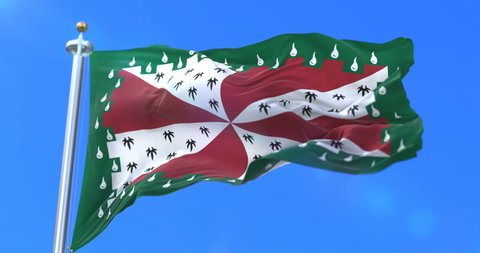 Loudoun county flag Stock Video Footage - 4K and HD Video Clips ...